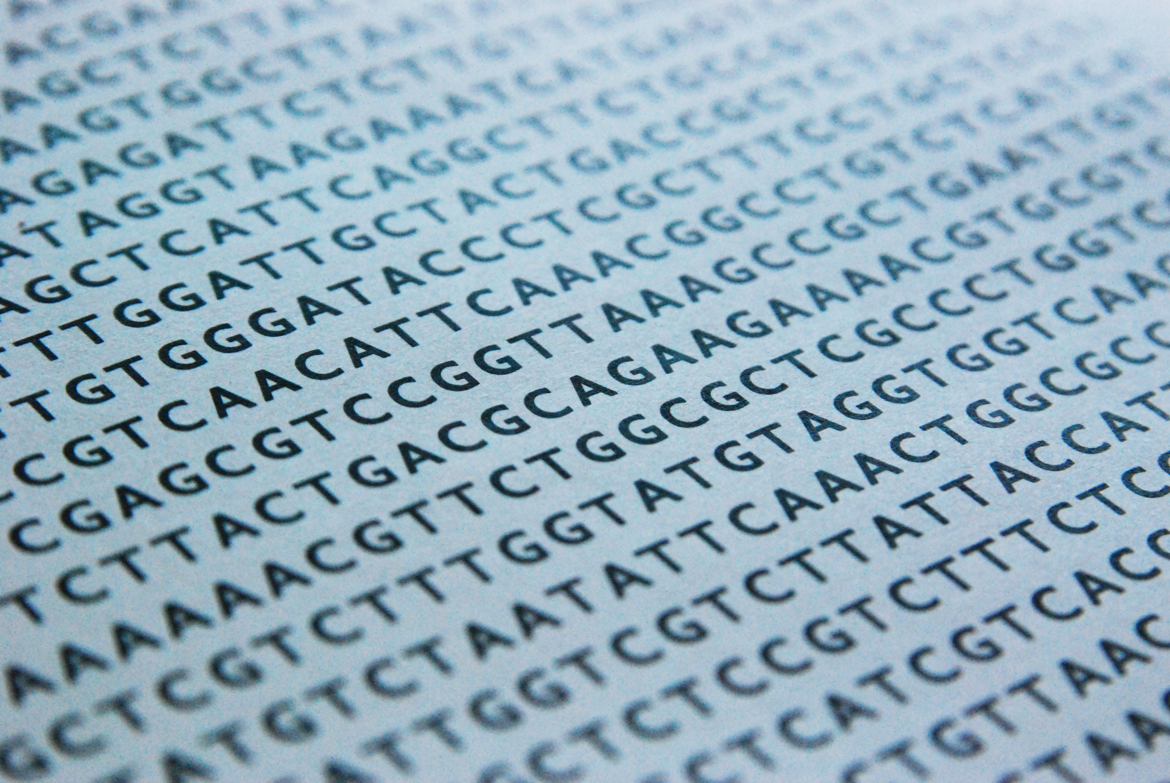 HCSPH Bioinformatics Core (HBC) | FAS Research Computing