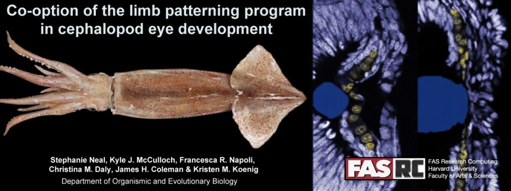 Cluster Fragmentation | FAS Research Computing